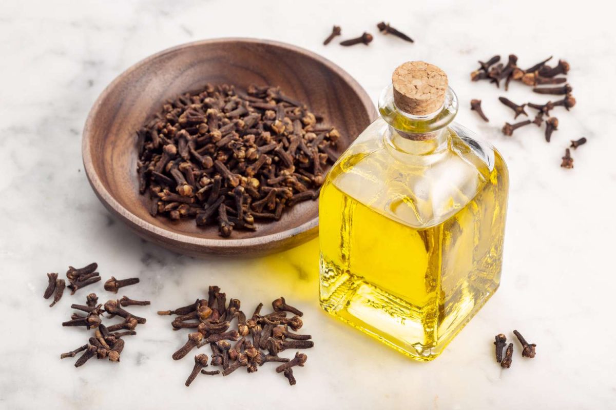 How To Make Clove Oil - Kahawatungu
