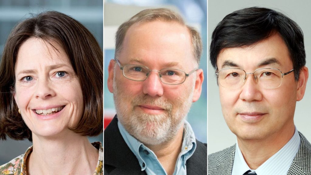 Nobel Prize in medicine goes to trio of scientists for discovering how the immune system is kept ...