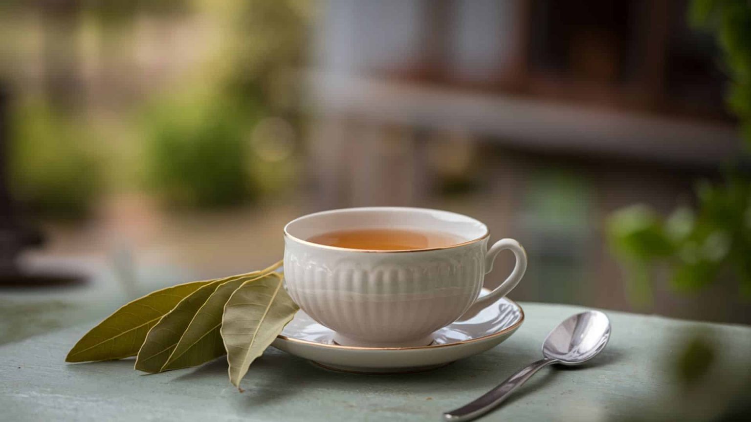 How to Make Bay Leaf Tea - Kahawatungu