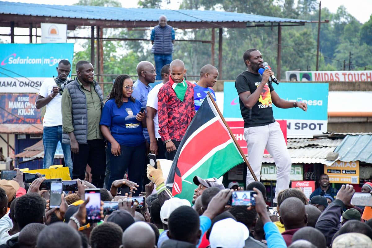 Linda Mwananchi criticises Ruto’s planned Tanzania visit, Parliamentary ...